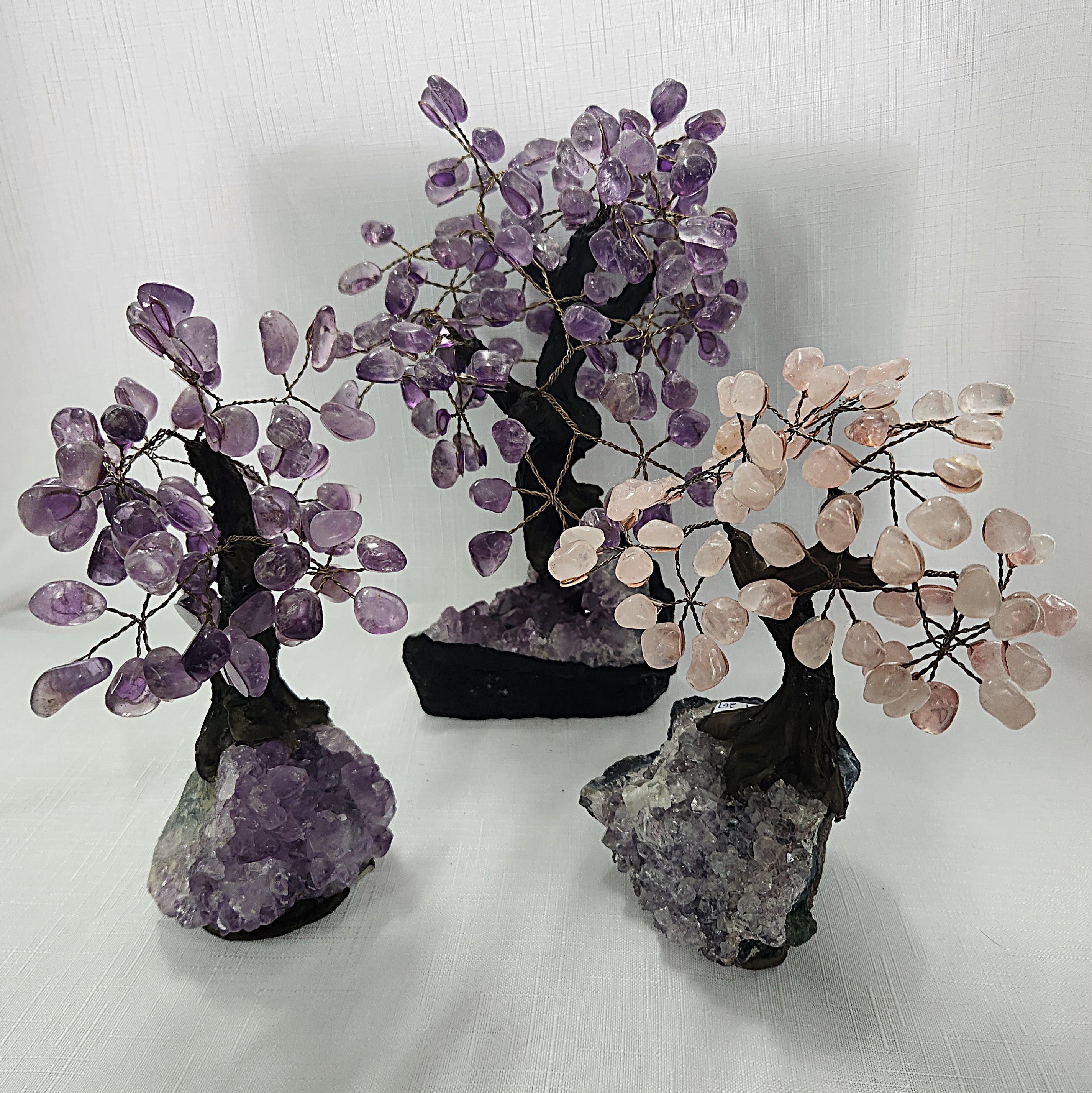 Crystal Trees – Let's Move Forward