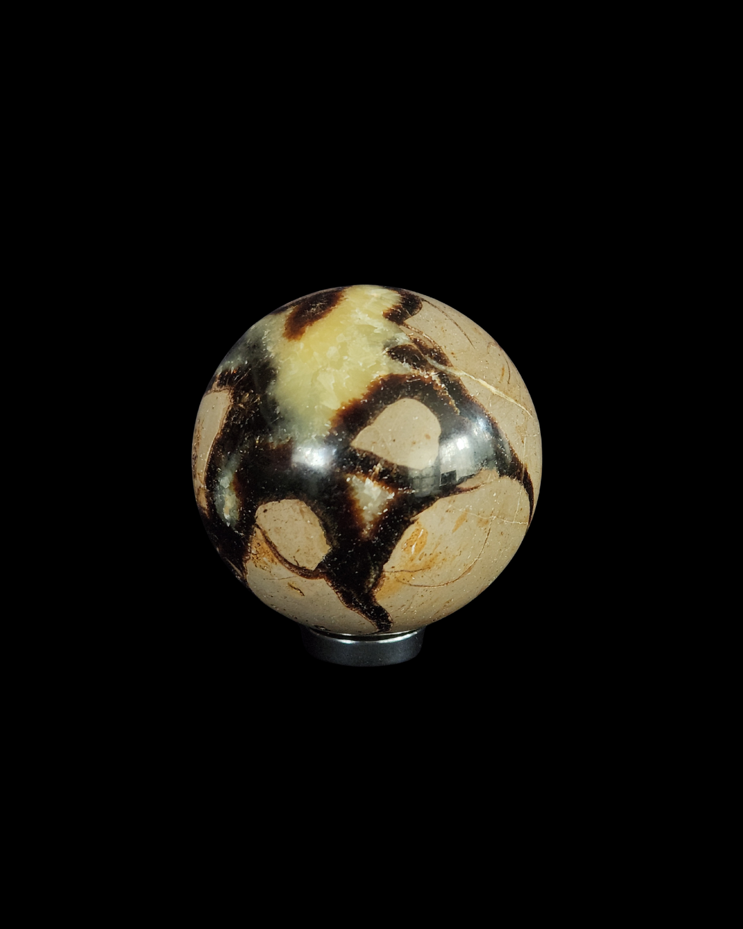 Sphere - Septarian – Let's Move Forward